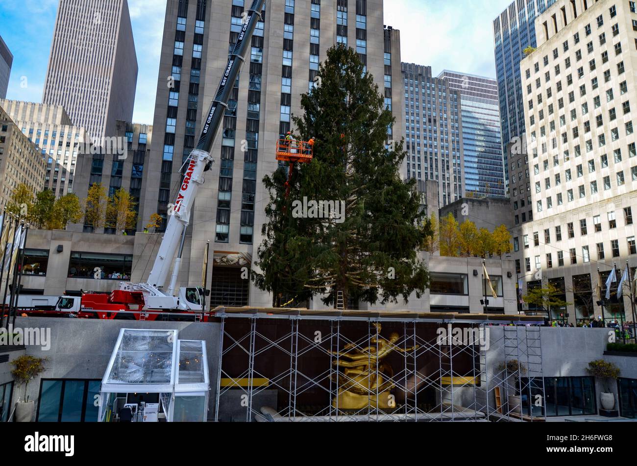 The 12-ton, 79-foot Rockefeller Center Christmas Tree arrived in New ...