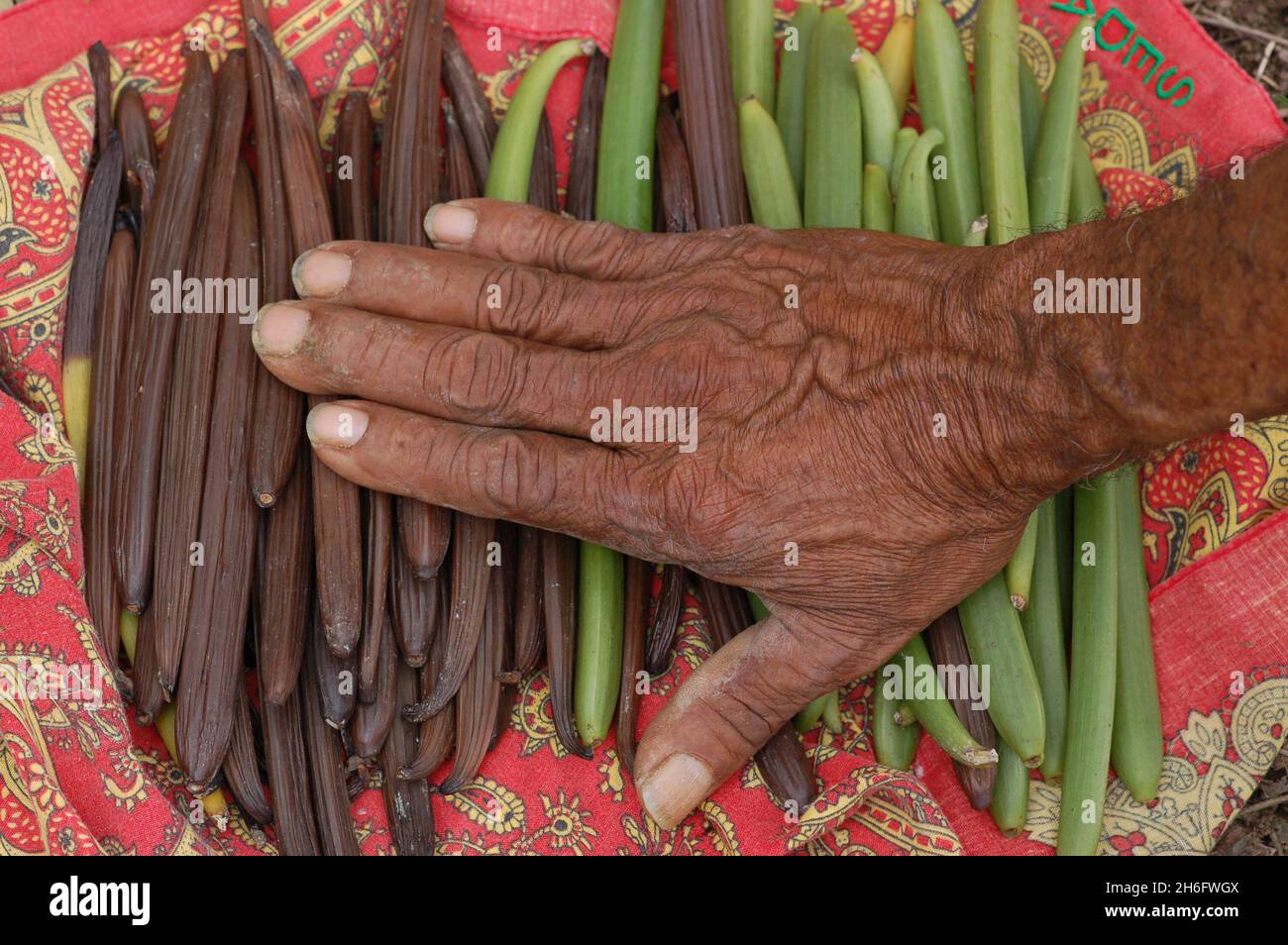 Hand over vanilla pods hi-res stock photography and images - Alamy