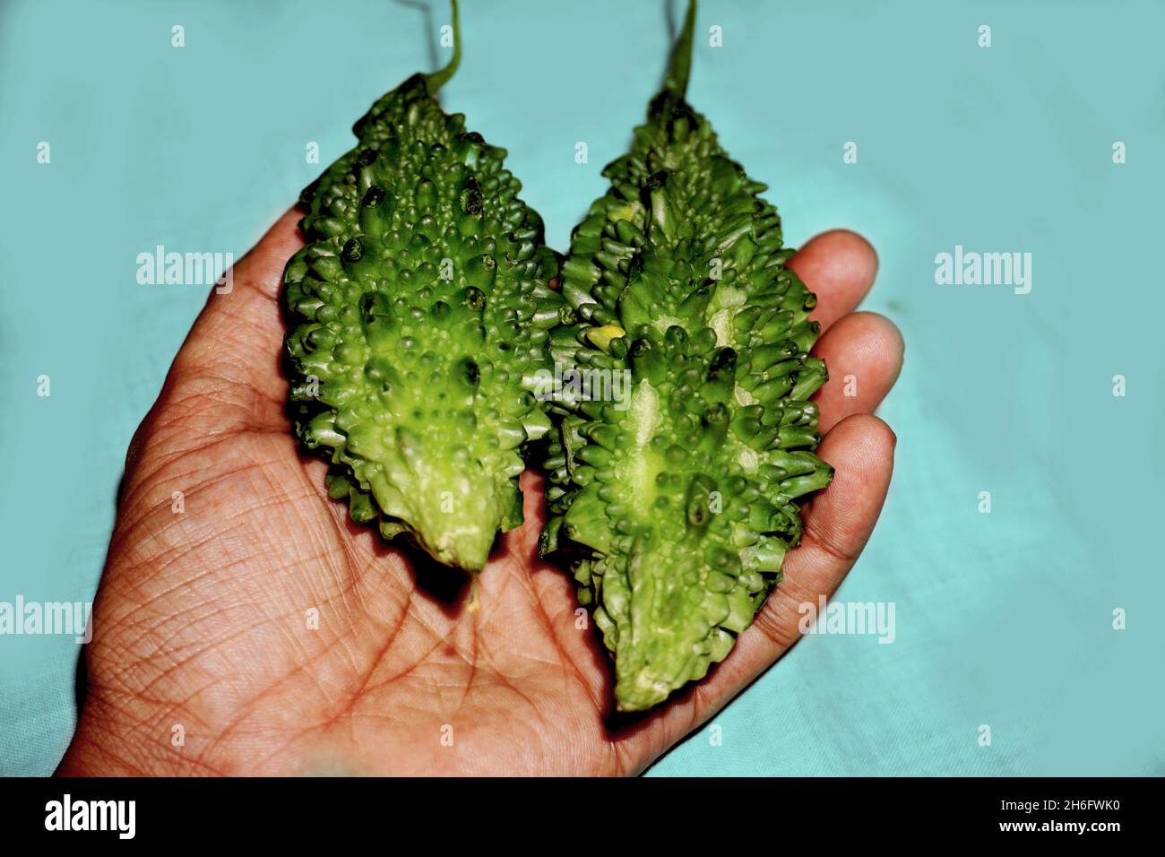 Close-up view of bitter melon, also called bitter apple, bitter gourd ...