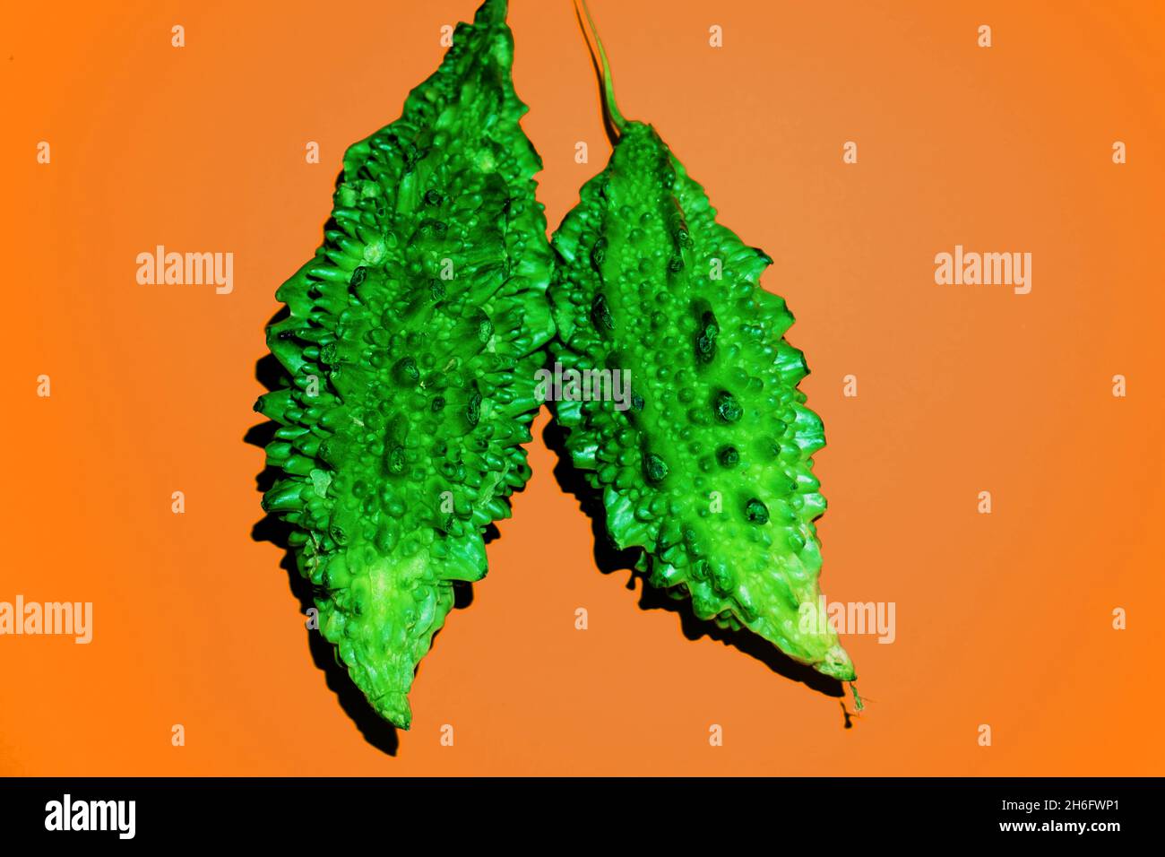 Bitter squash hi-res stock photography and images - Alamy