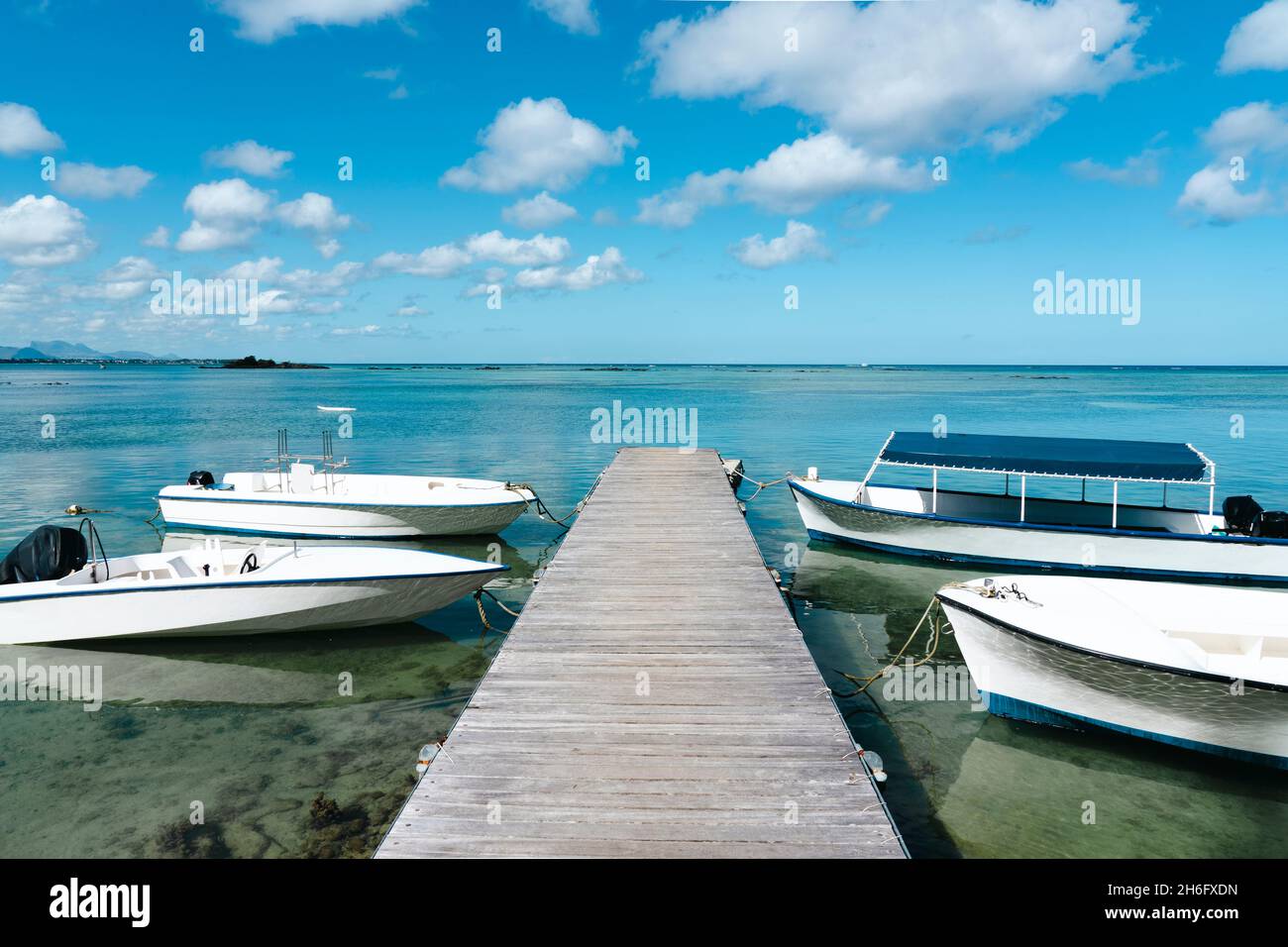 Tropical Boats In Dock