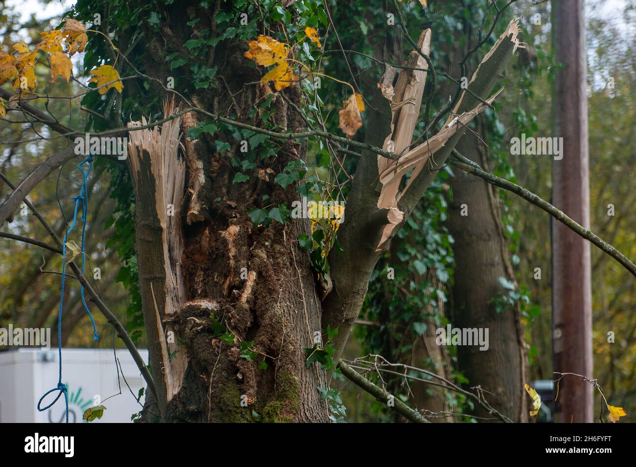 Wendover, UK. 13th November, 2021. HS2 were ripping branches off trees ...
