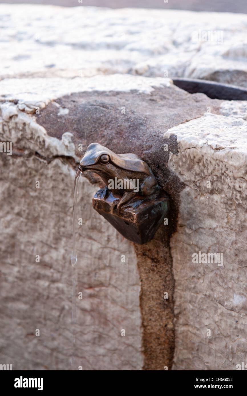 Frog in a well hi-res stock photography and images - Alamy