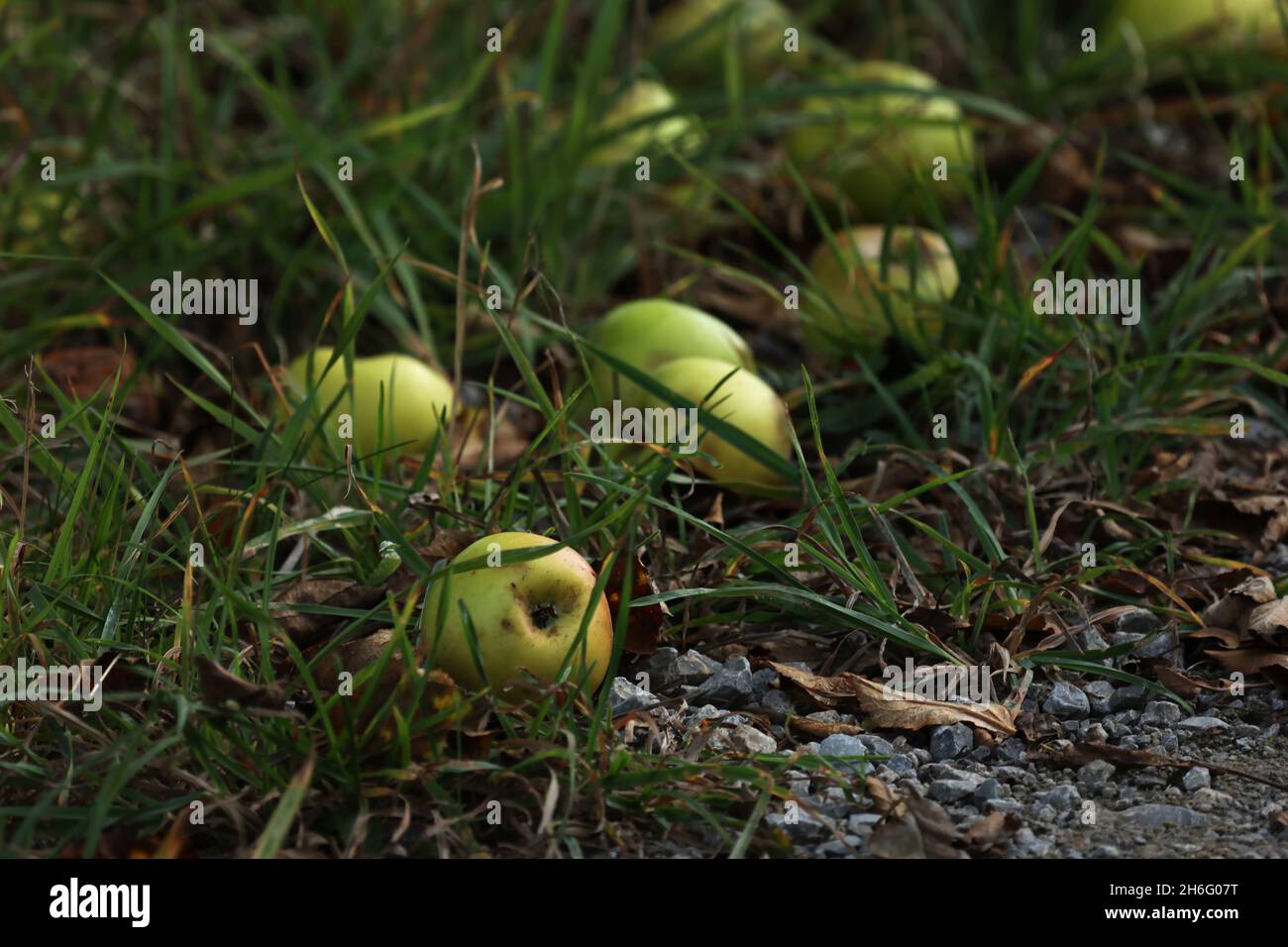 Fallen beams hi-res stock photography and images - Alamy