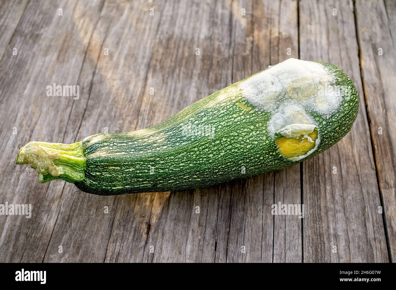 Rotten squash hi-res stock photography and images - Alamy