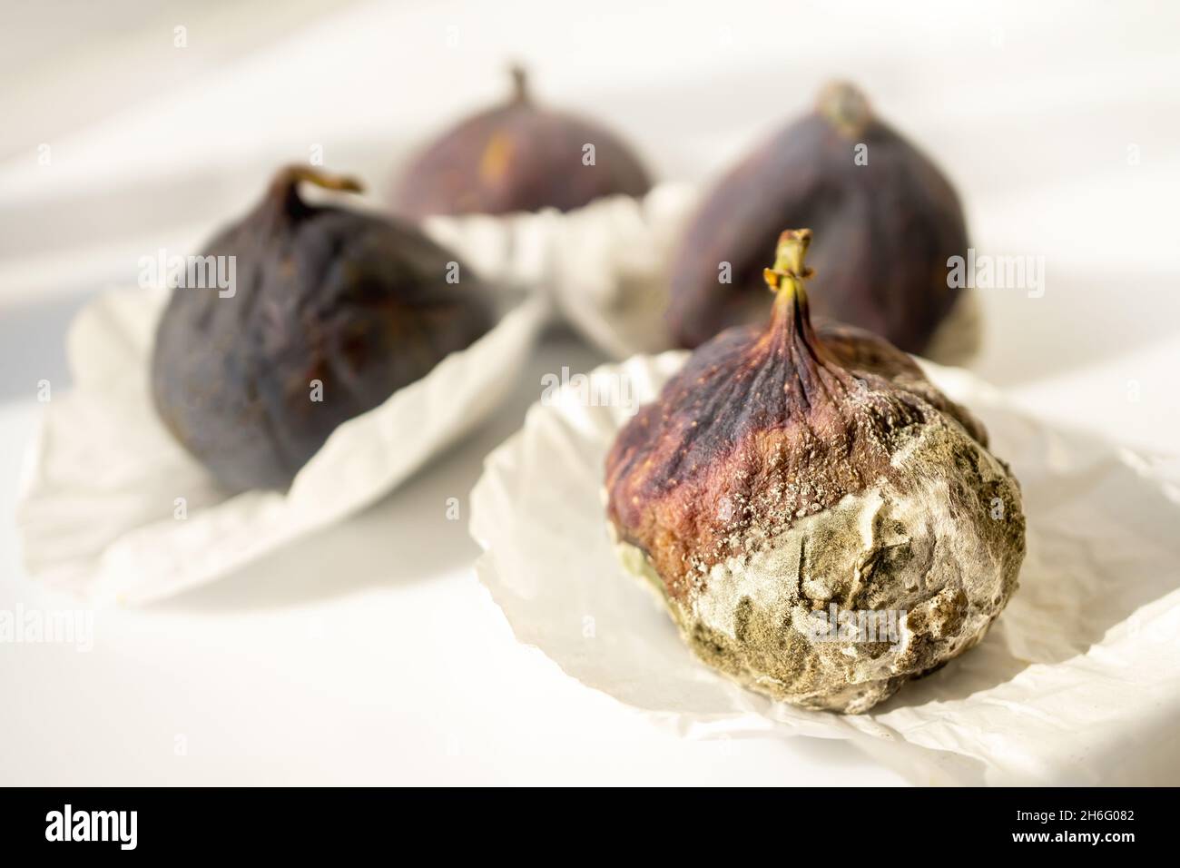 Mold fungus on figs hi-res stock photography and images - Alamy
