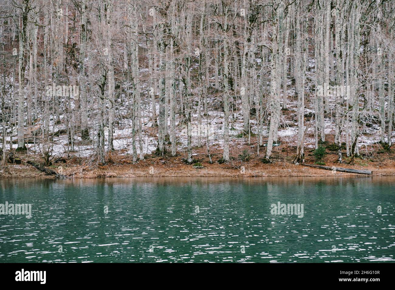 Biogradsko jezero national park hi-res stock photography and images - Alamy