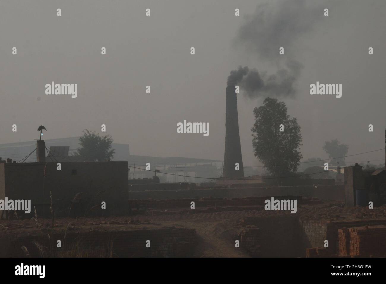 (11/10/2021) Pakistani people busy in their routine work amid smoggy ...