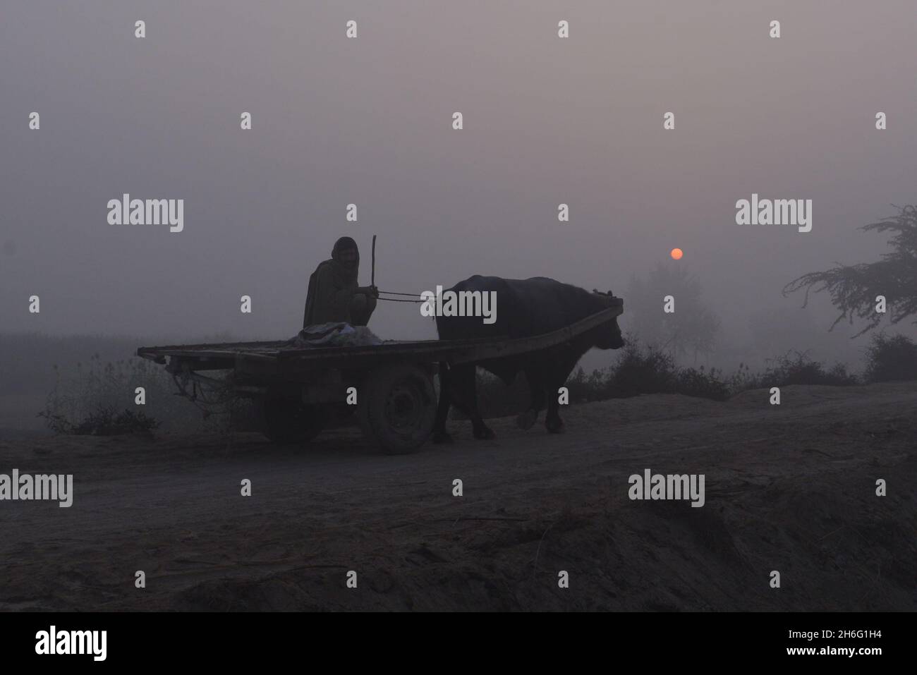 (11/11/2021) Pakistani people busy in their routine work amid smoggy ...