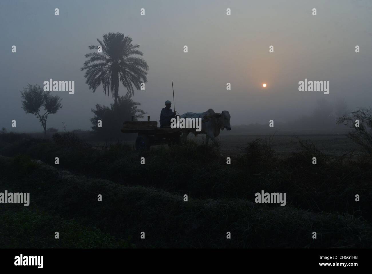 Lahore, Pakistan. 11th Nov, 2021. (11/11/2021) Pakistani people busy in ...