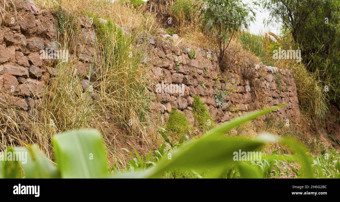 Stone wall near Corn Maize farm andean argriculture - Cusco Peru Stock ...