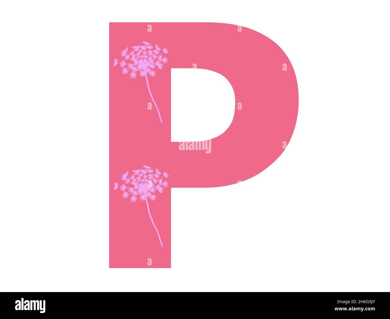 Letter P of the alphabet made with pink flower silhouette in a dark ...