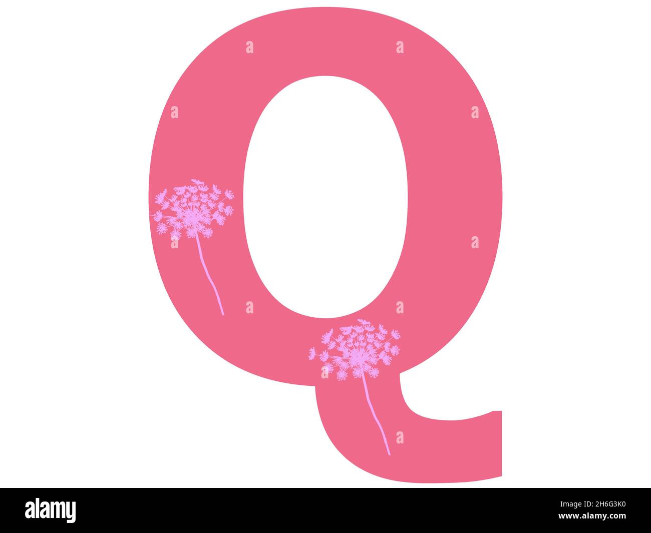 Letter Q of the alphabet made with pink flower silhouette in a dark ...