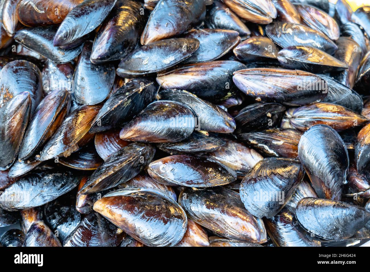 Midye dolma, stuffed mussels close-up, traditional Turkish food food ...