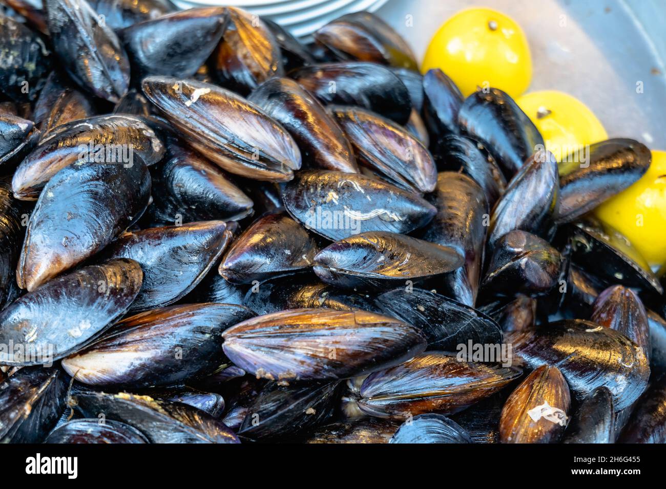 Midye dolma, stuffed mussels close-up, traditional Turkish food food ...