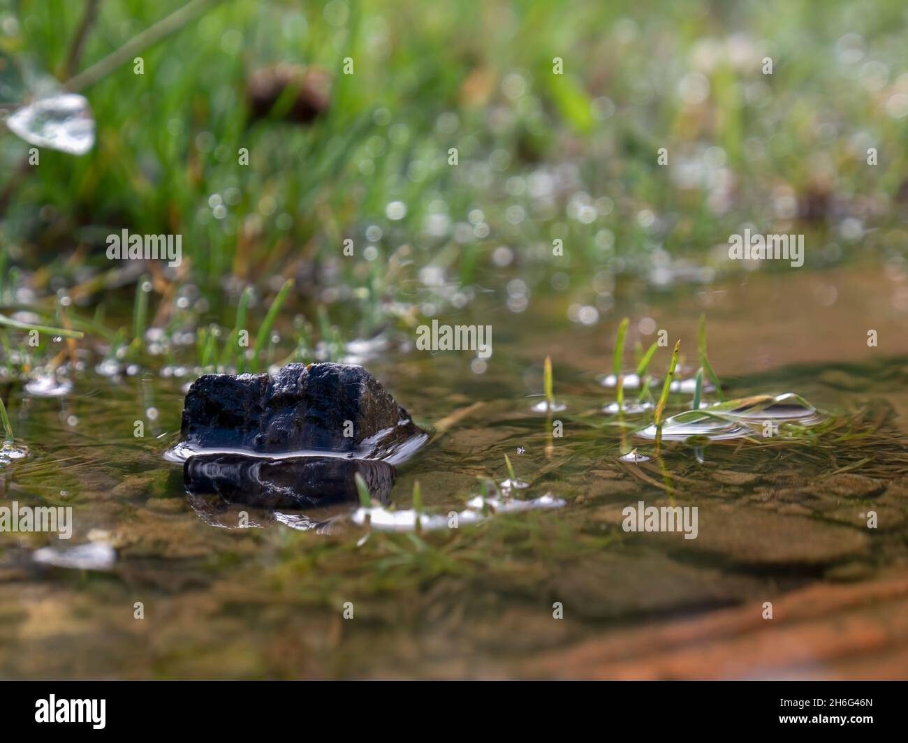 Macro photography of a pebble in a rain puddle, captured in a farm near ...