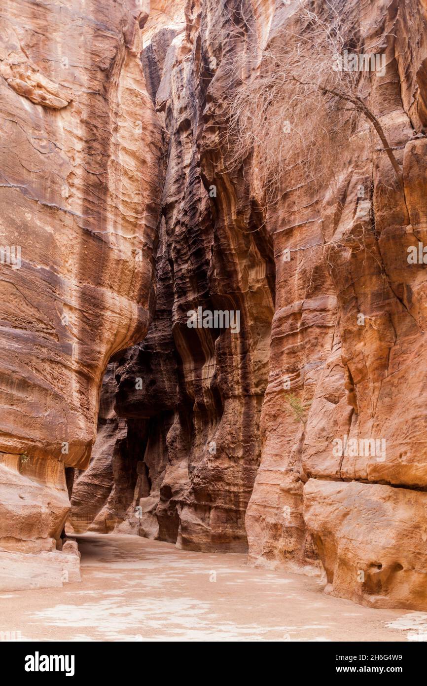View of the Siq narrow gorge, main entrance to the ancient city Petra ...