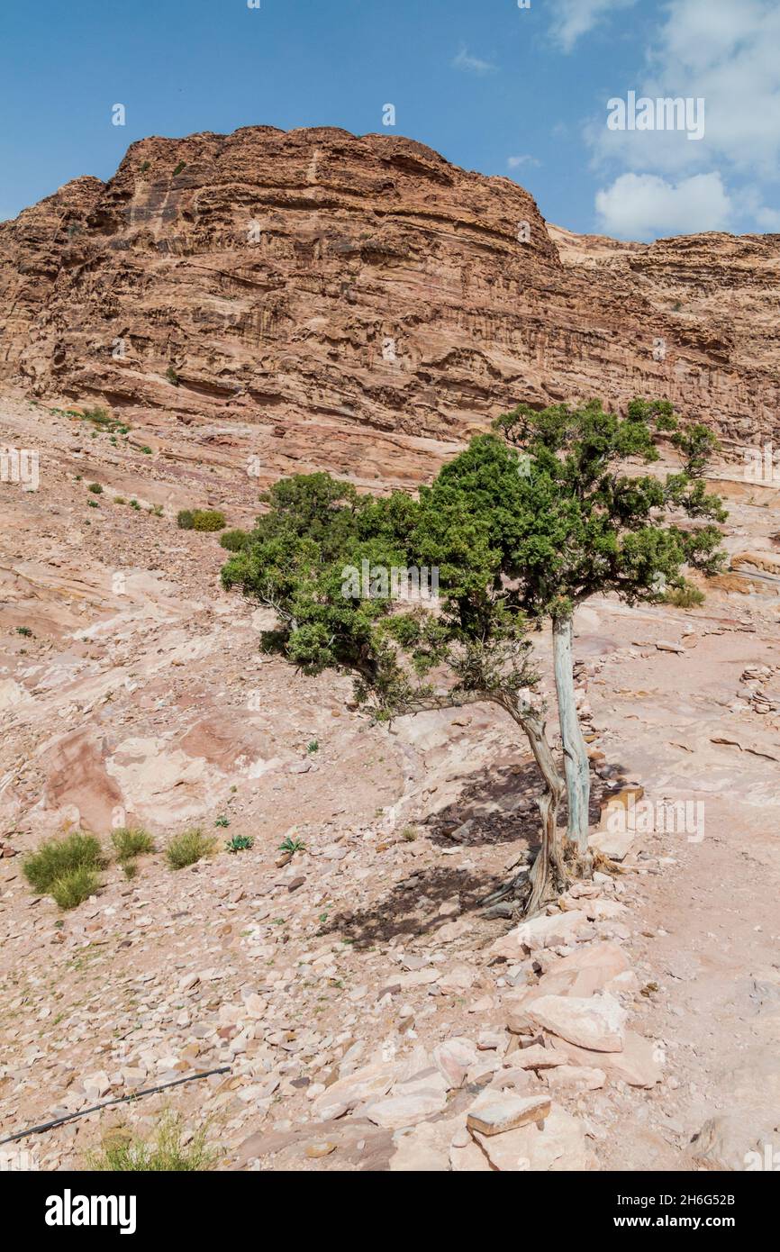 Landscape around the ancient city Petra, Jordan Stock Photo - Alamy