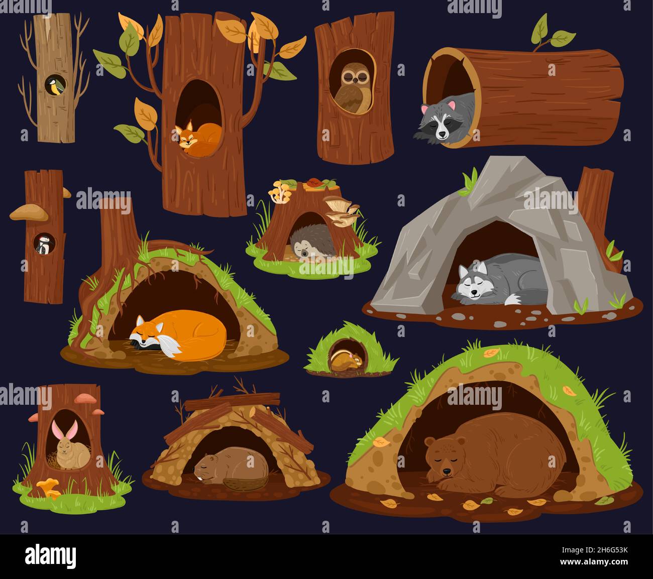 Cartoon woodland animals sleeping inside burrow, hollow, nest. Forest ...