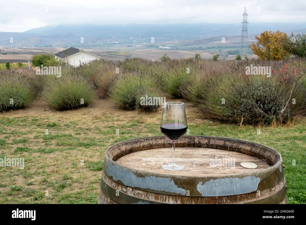 wine glass on wine barrel, front view Stock Photo - Alamy