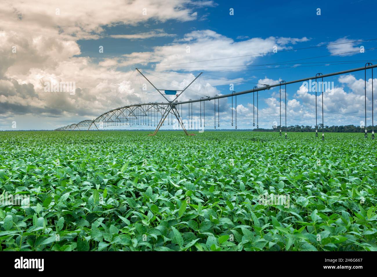 Central pivot irrigation hi-res stock photography and images - Alamy