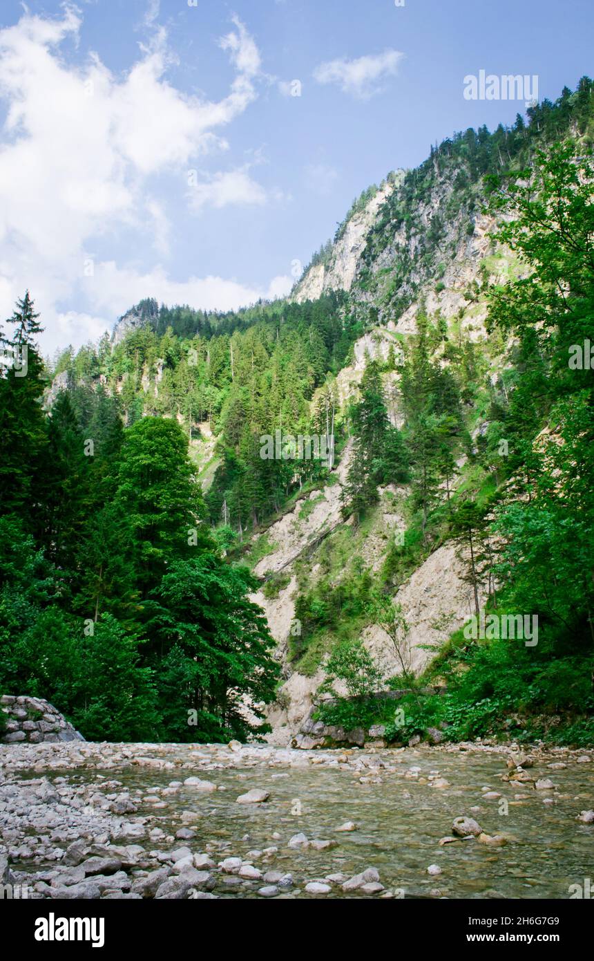 landscape with mountains, forest and a river in front Stock Photo - Alamy