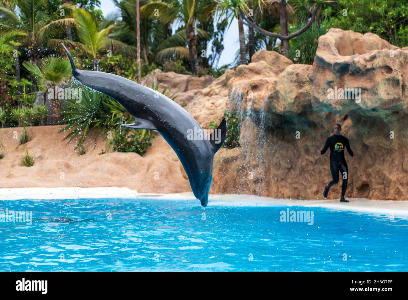 PUERTO DE LA CRUZ, TENERIFE - JULY 09, 2021: Dolphin show in Loro ...