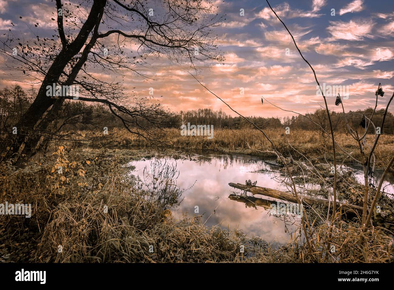 Late fall sunset hi-res stock photography and images - Alamy