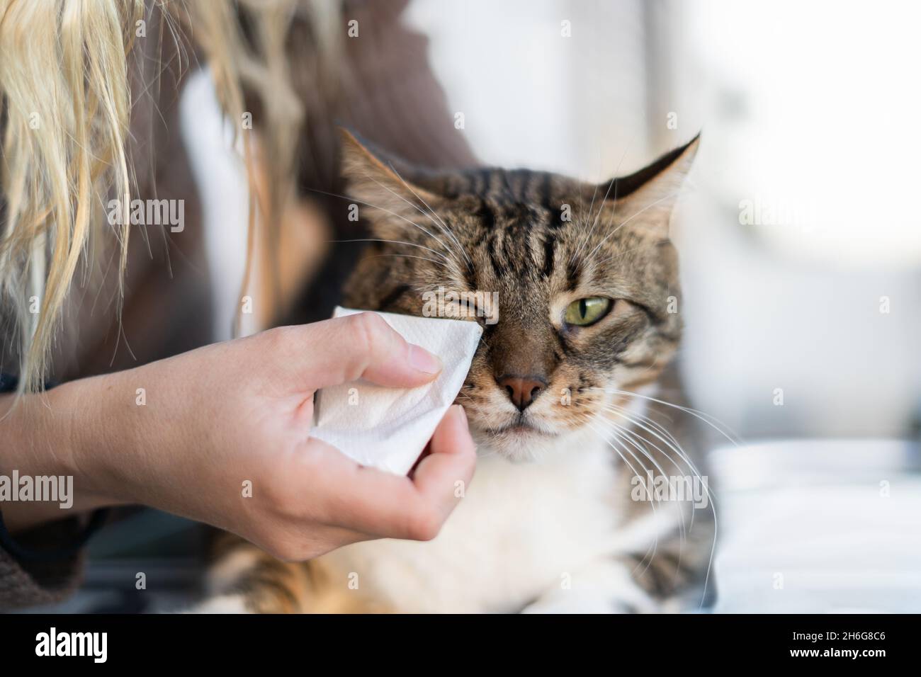 Cleaning eye hi-res stock photography and images - Alamy