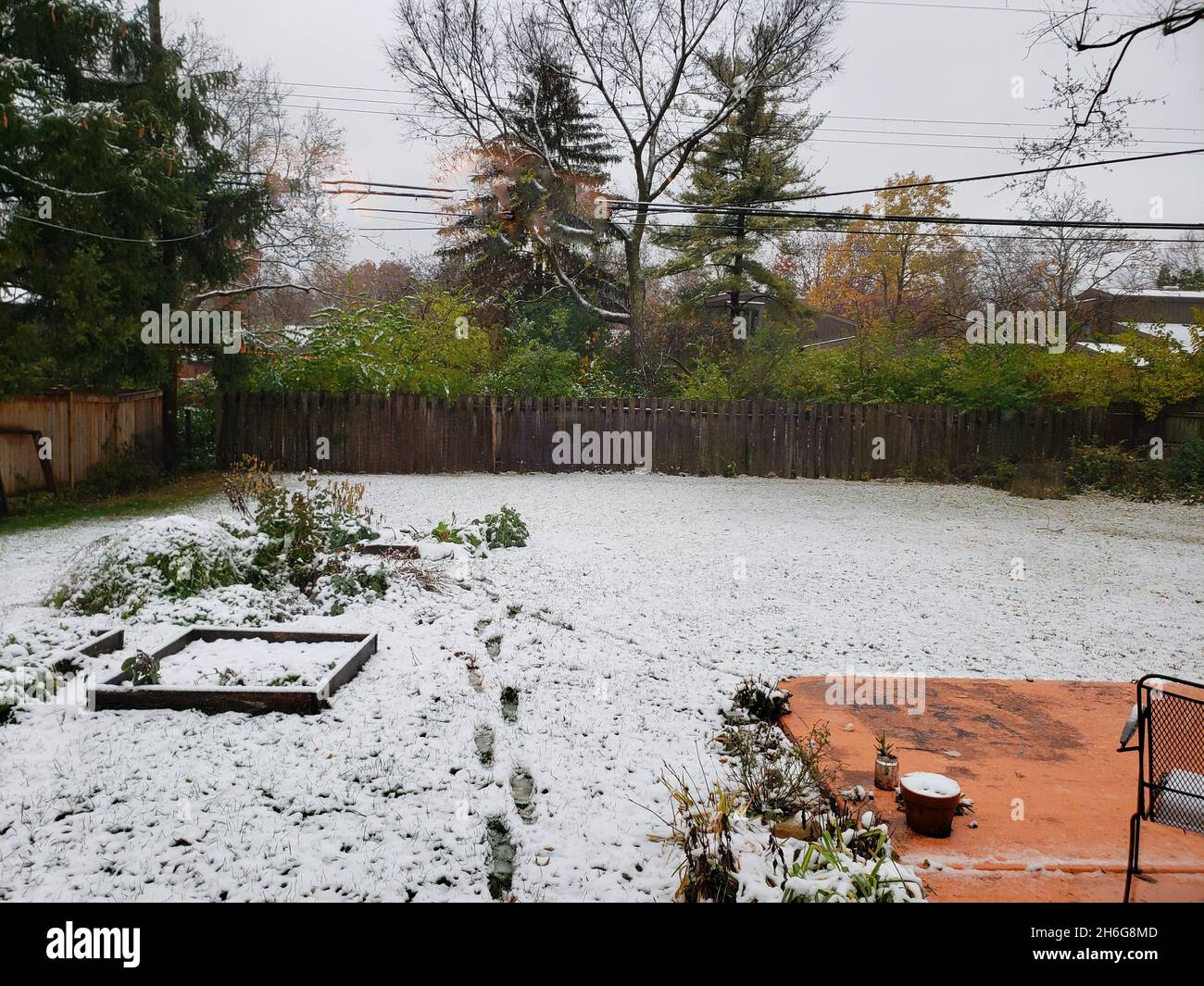 Light dusting of snow texture hi-res stock photography and images - Alamy