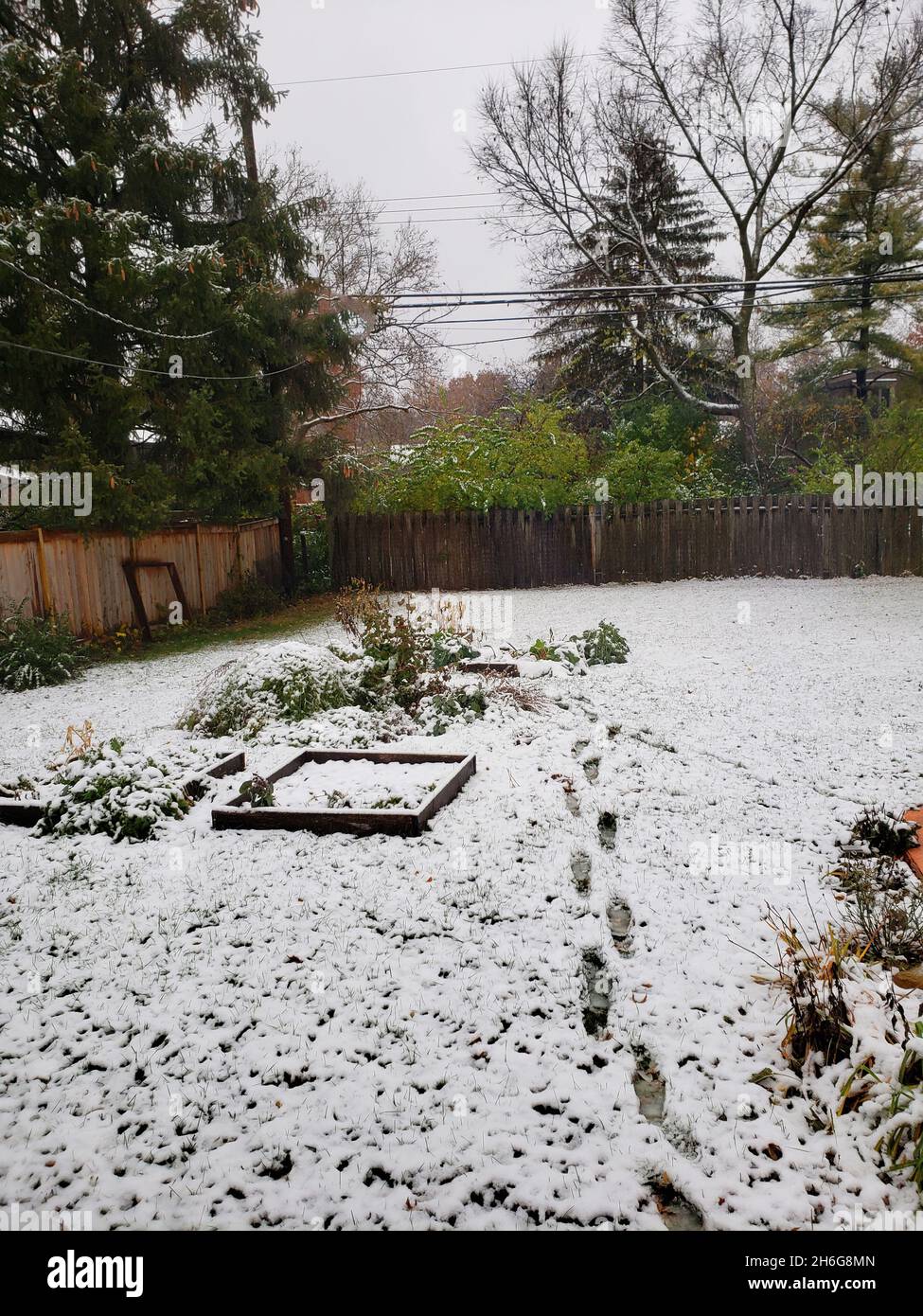Light Autumn Snow with Footprints in a Backyard Stock Photo - Alamy