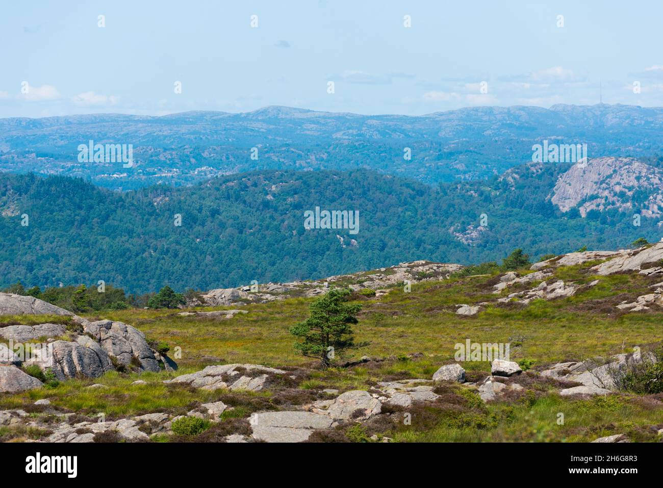 Small bog hi-res stock photography and images - Alamy