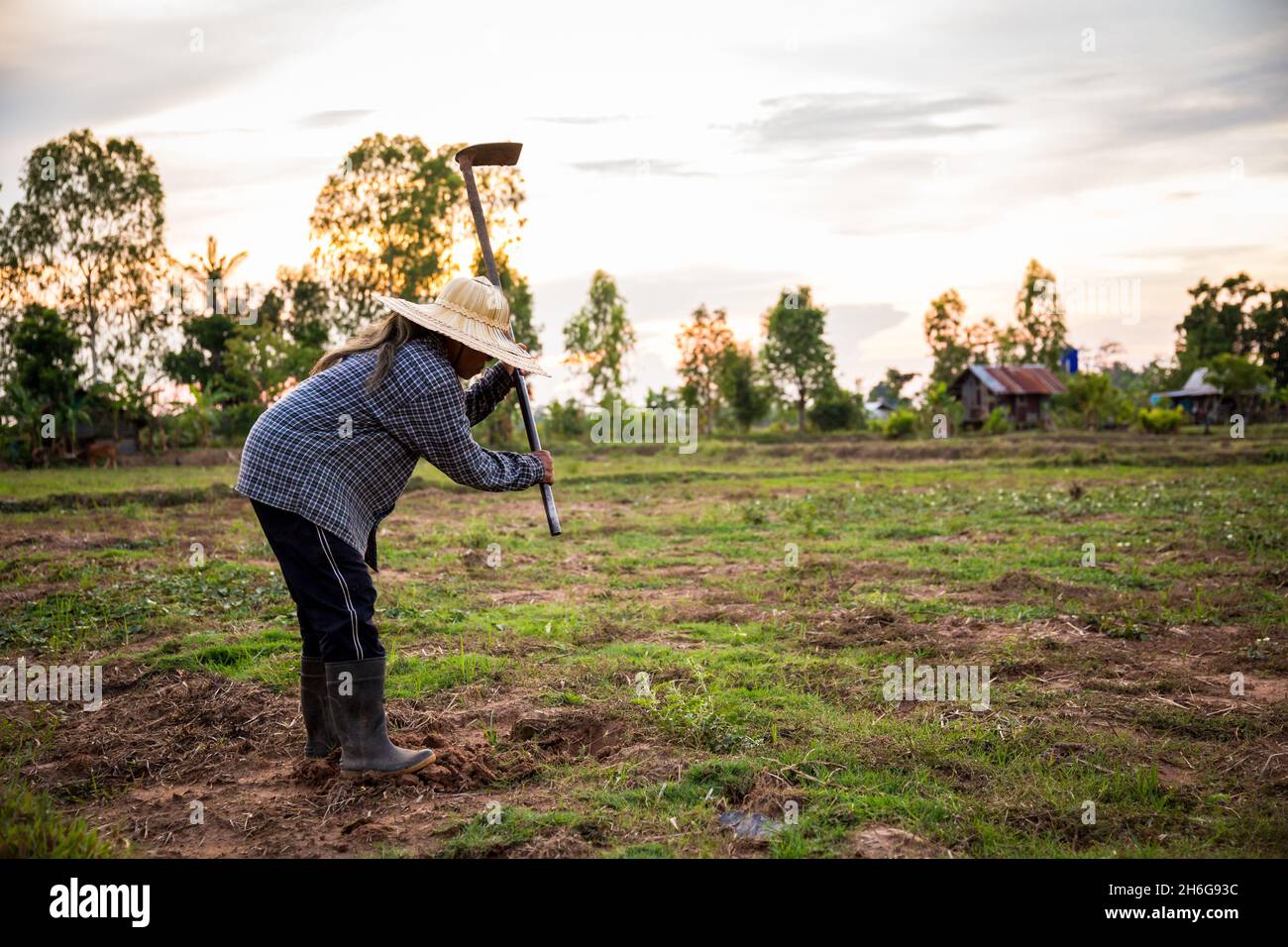Beautiful shot of a female digging a hole in the ground with a shovel ...