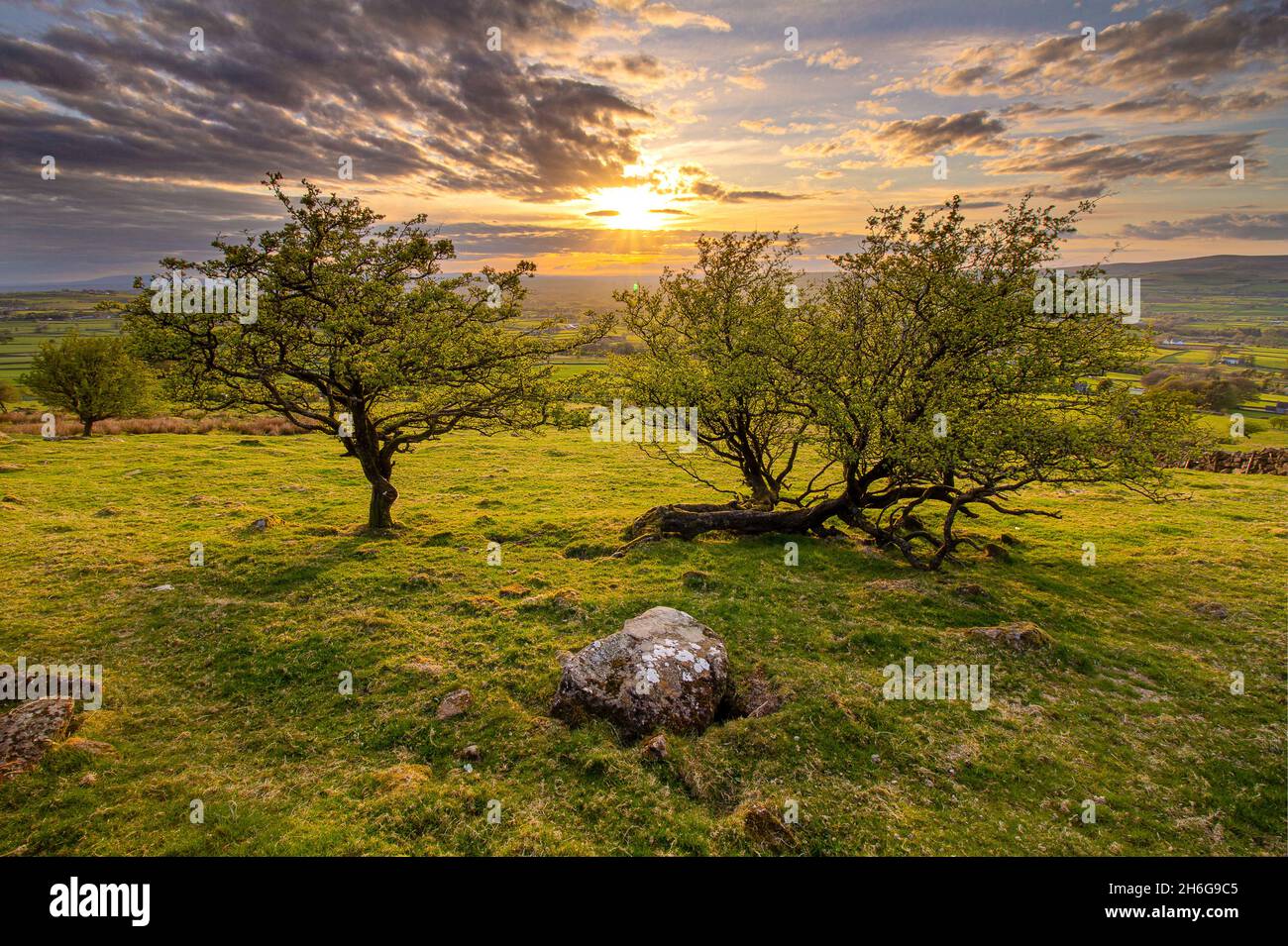 Slemish High Resolution Stock Photography and Images - Alamy