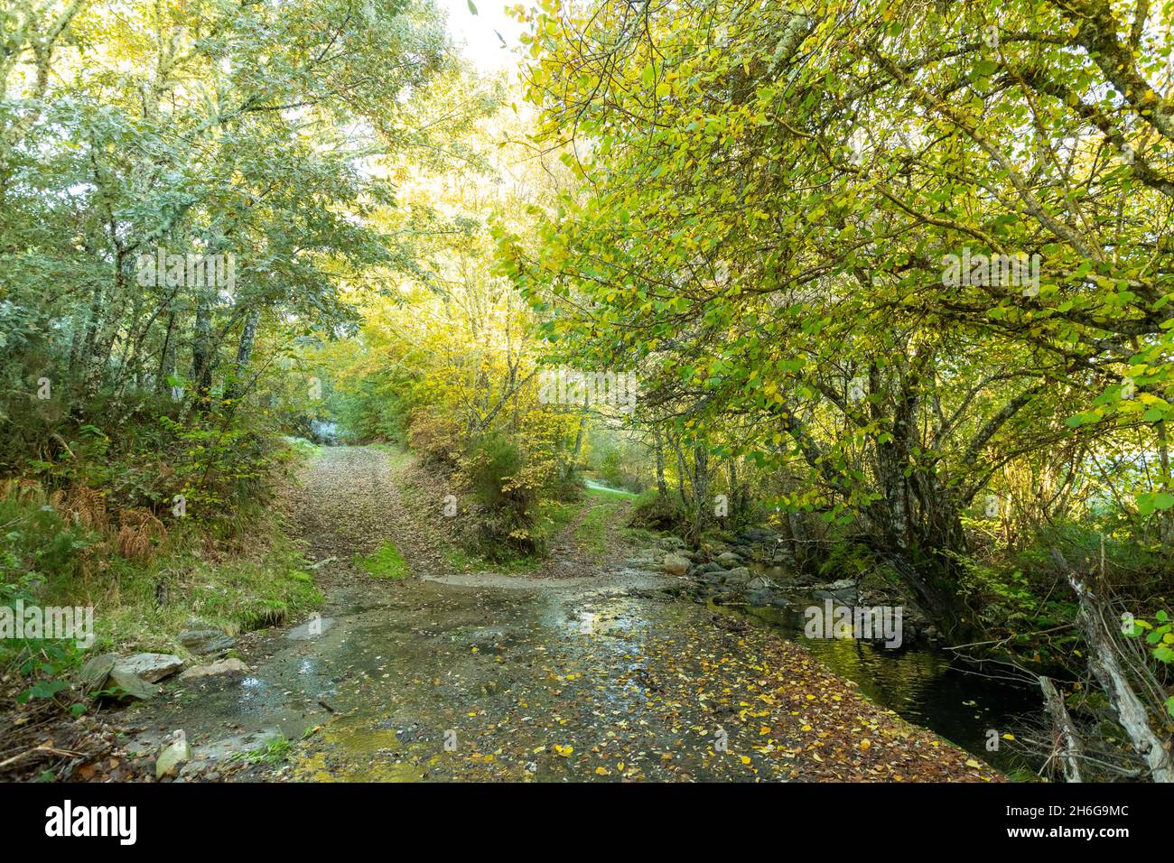 Castañar de Hermisende, Zamora Stock Photo - Alamy