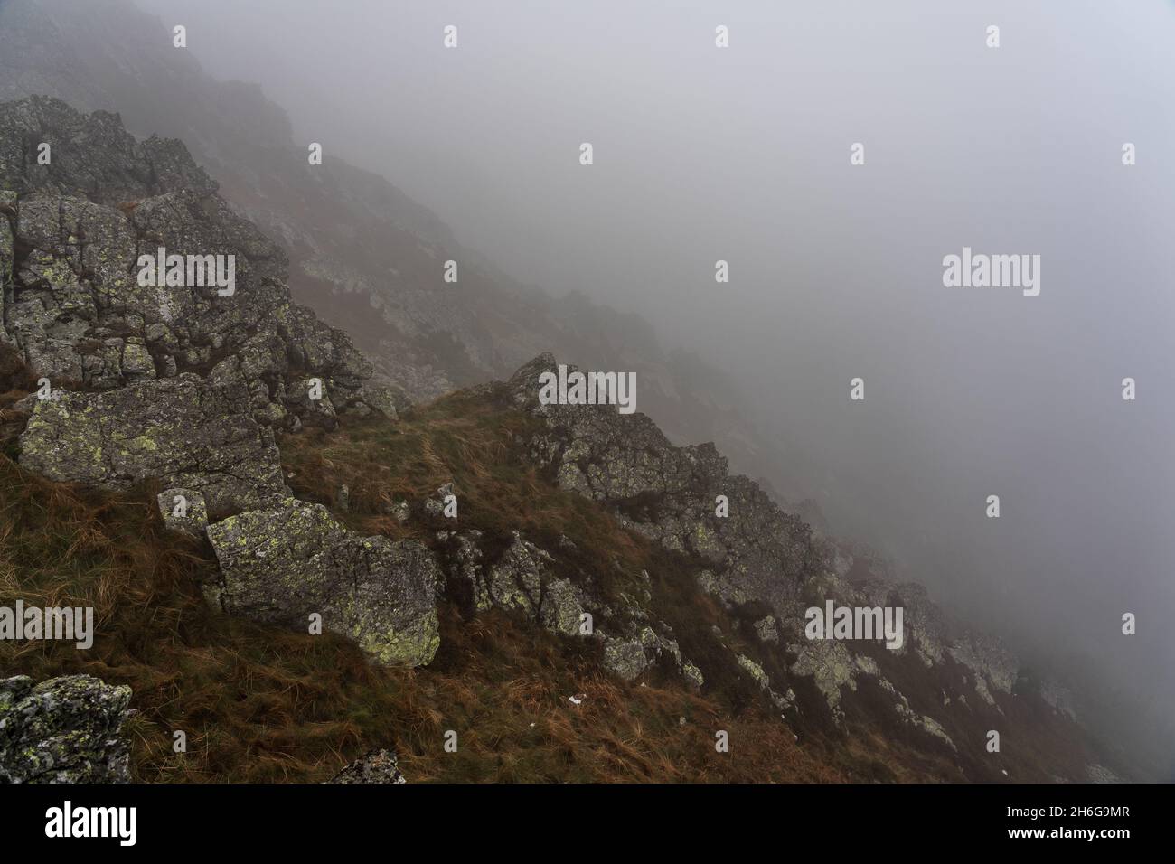 Wet large boulders and cliffs covered with lichen and moss on a ...