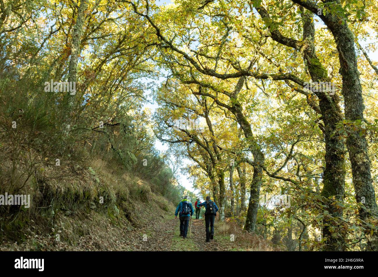 Castañar de Hermisende, Zamora Stock Photo - Alamy