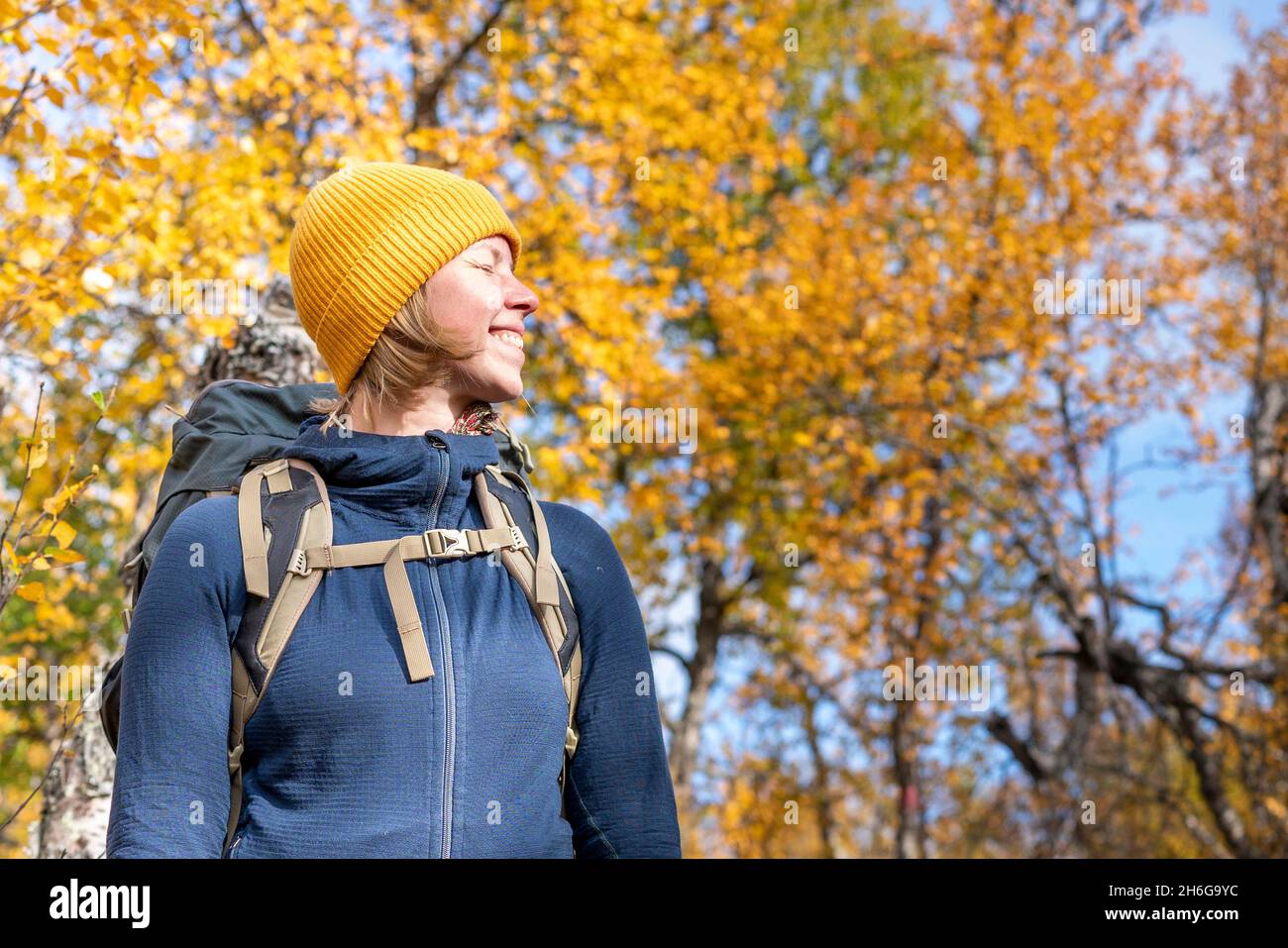 Female Hiker Hiking Kings Trail with Intense Yellow Autumn Foliage ...