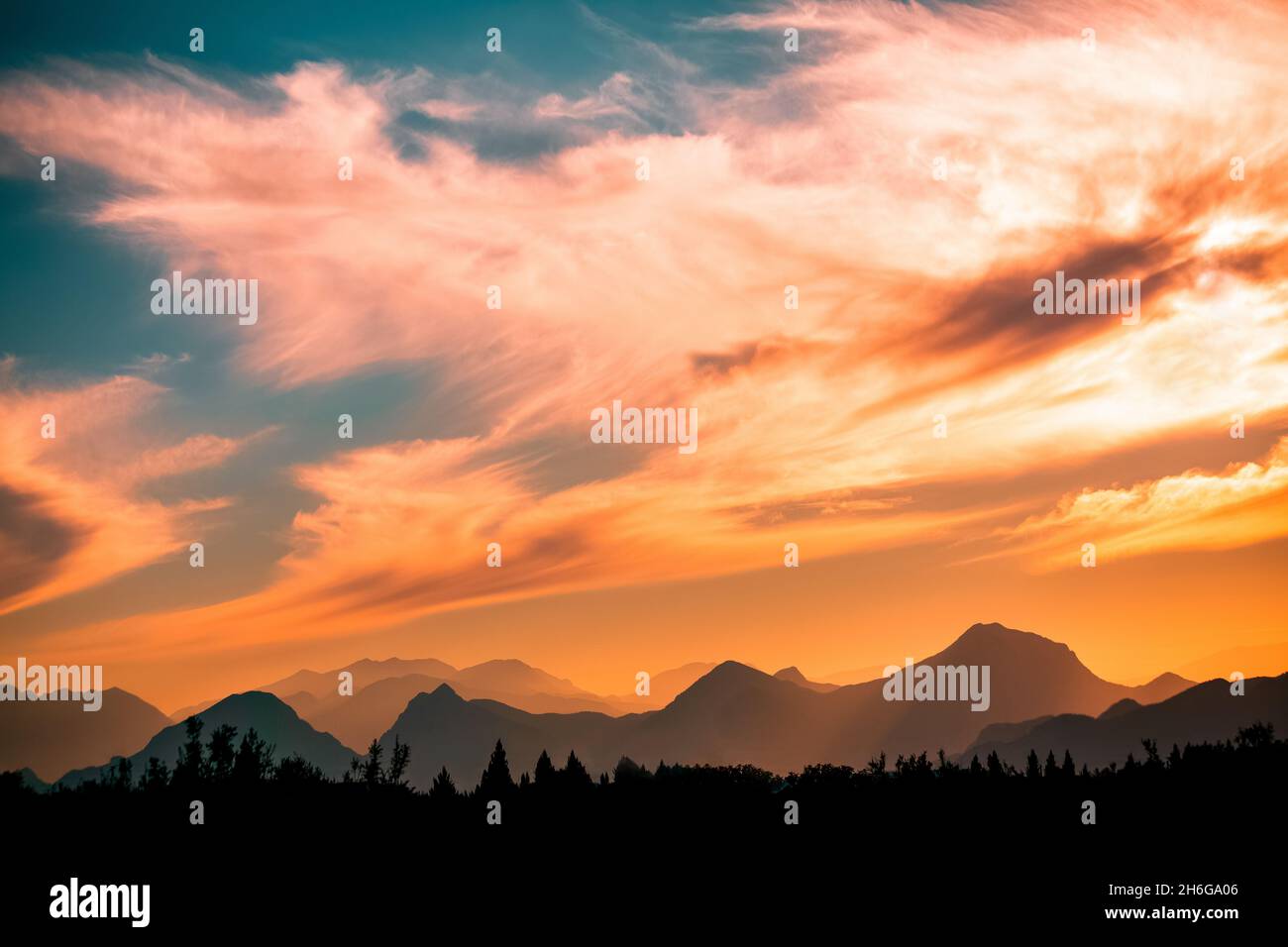 Tint tinted hi-res stock photography and images - Alamy