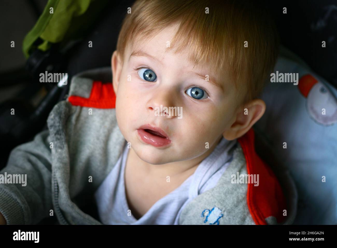 One year old baby boy stare straight to camera Stock Photo - Alamy