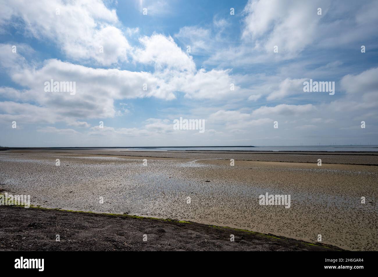 View on sea bottom at low tide on Grevelingenmeer, Zeeland, Netherlands ...