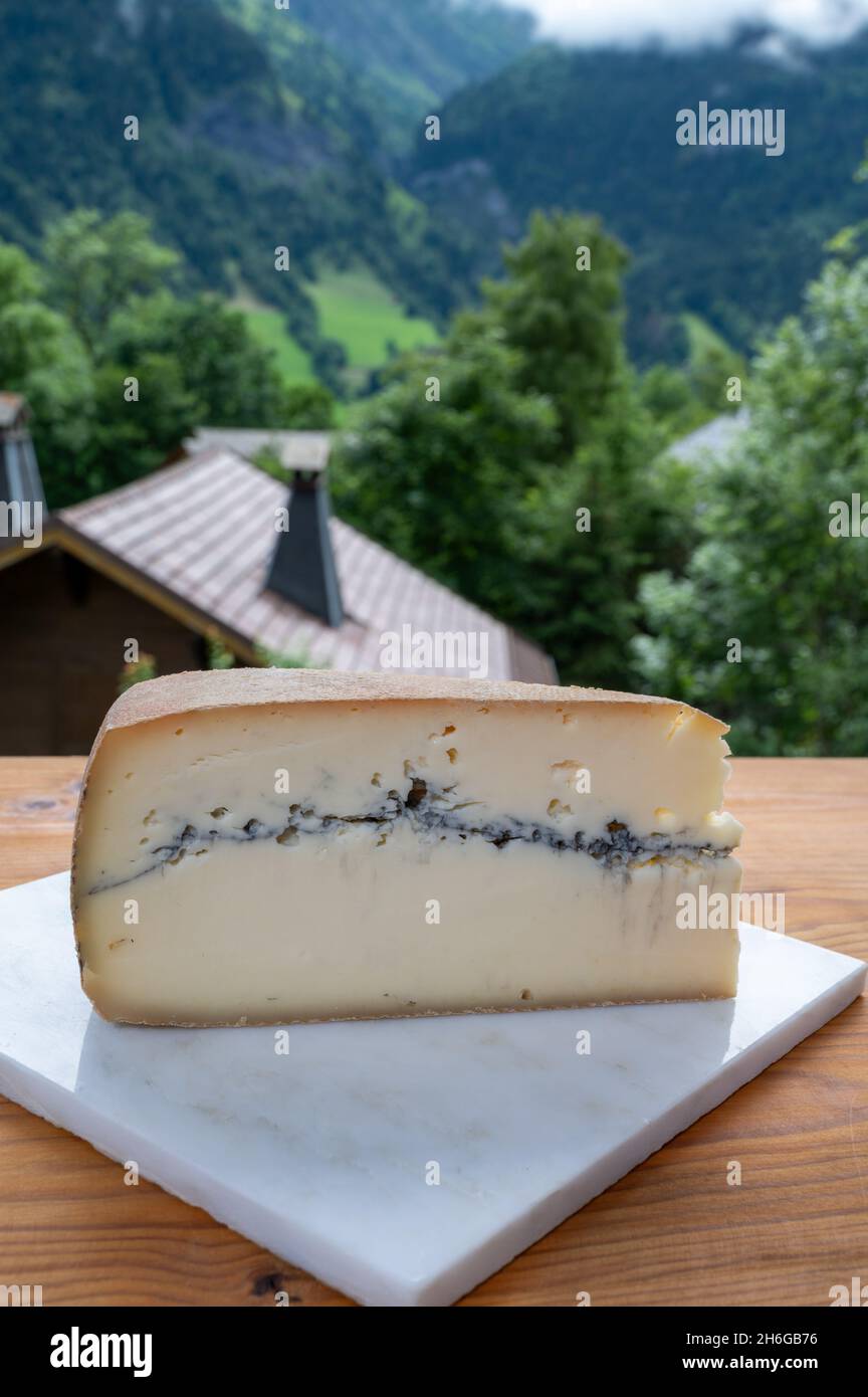 Cheese collection, French cheese made from raw cow milk morbier and ...