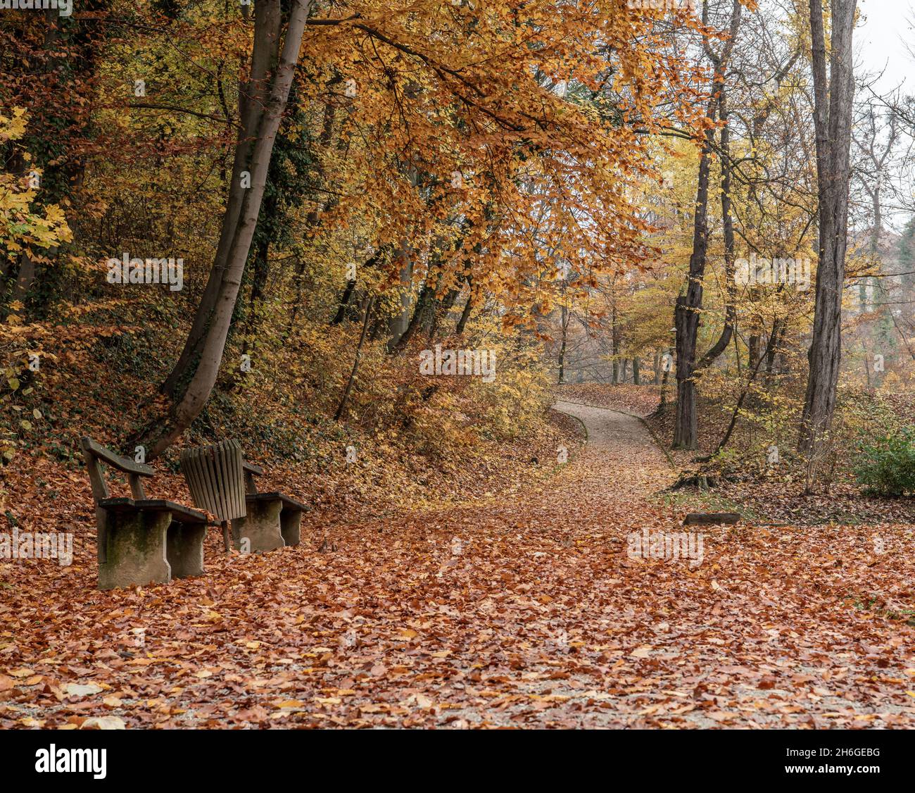The pedestrian trail through the park in the fall Stock Photo - Alamy