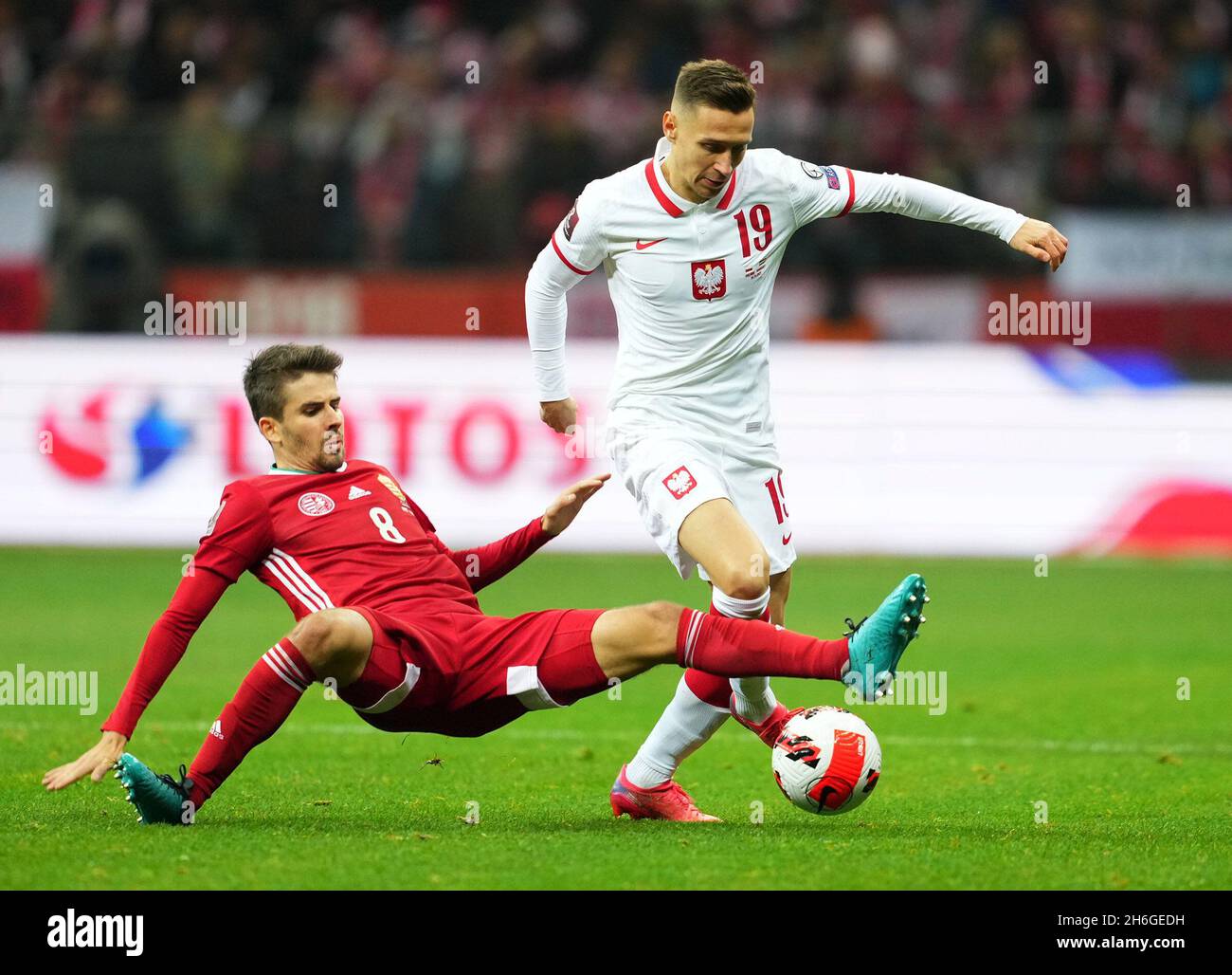 Adam nagy hi-res stock photography and images - Alamy