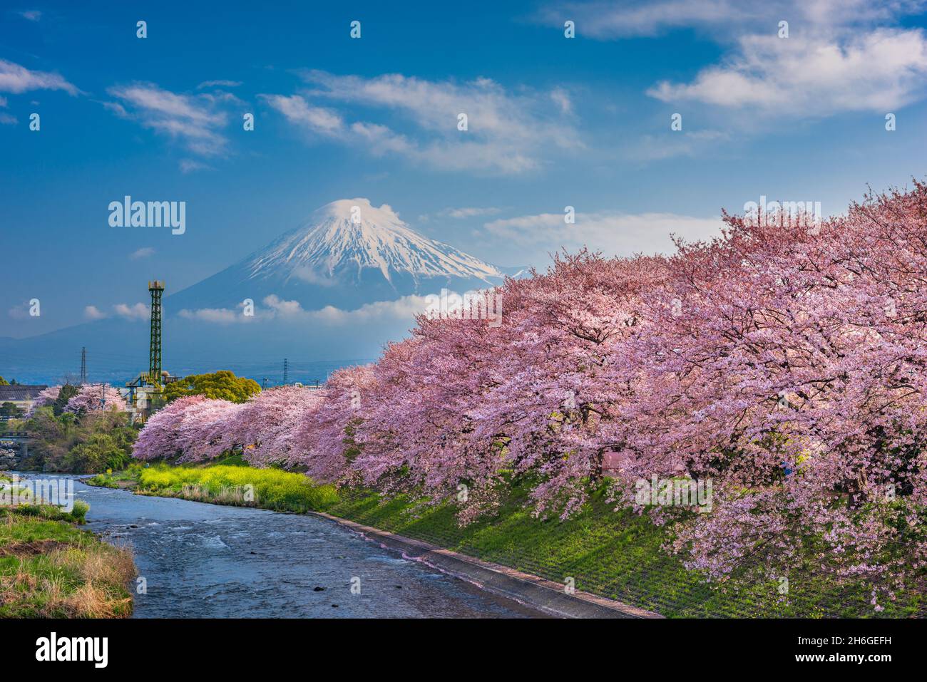 Urui river hi-res stock photography and images - Alamy