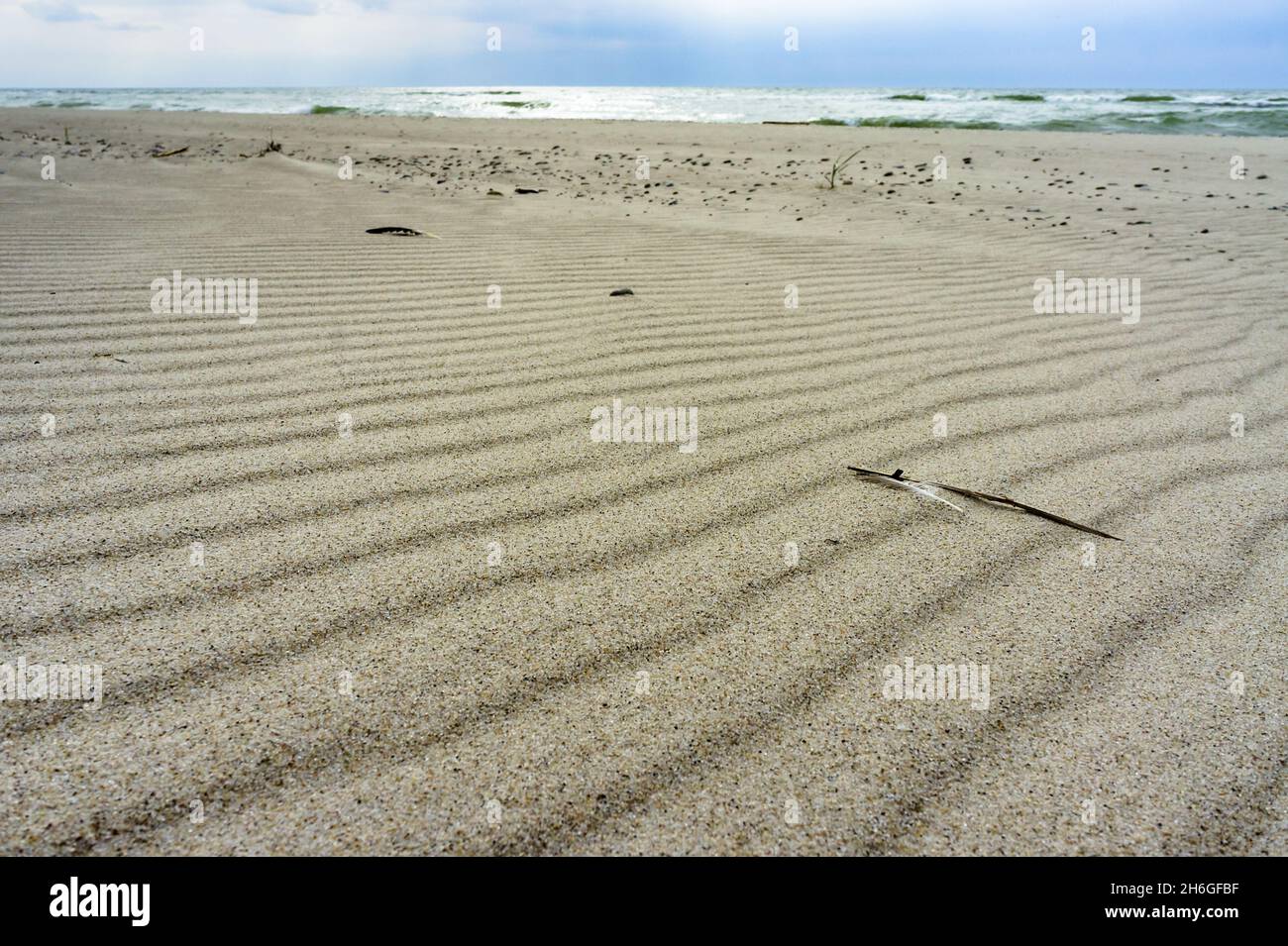 Natural sea sand and river sand. Sea sand. Sandy background. Sandy ...