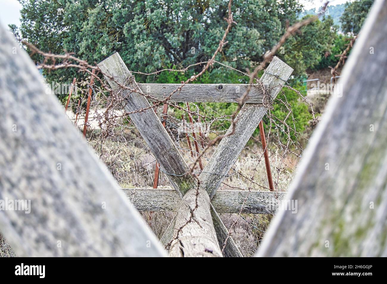Barbed barrier hi-res stock photography and images - Alamy