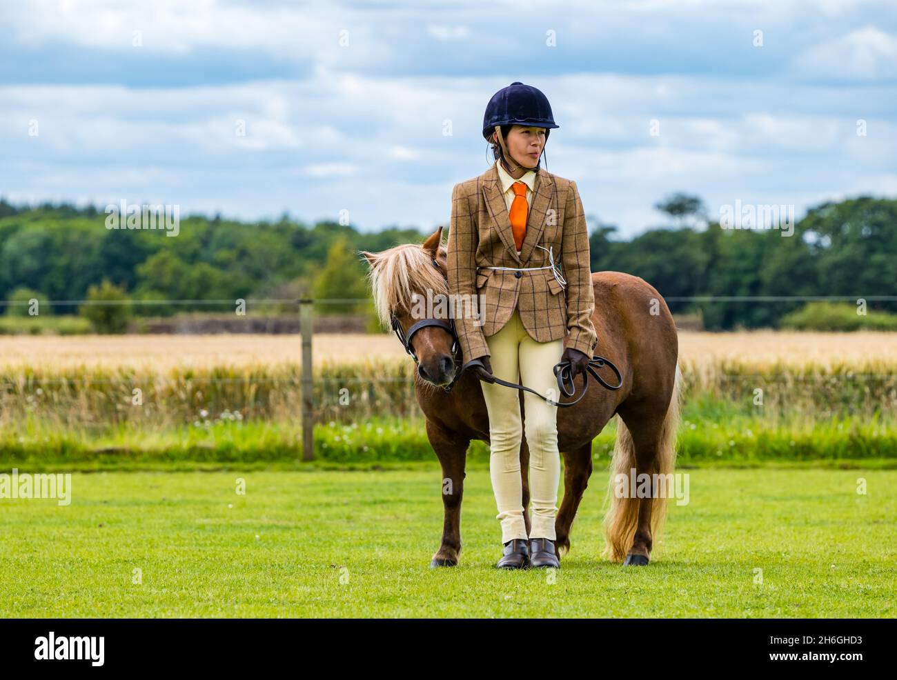 Summer horse show: a girl with a pony in a field, East Lothian ...