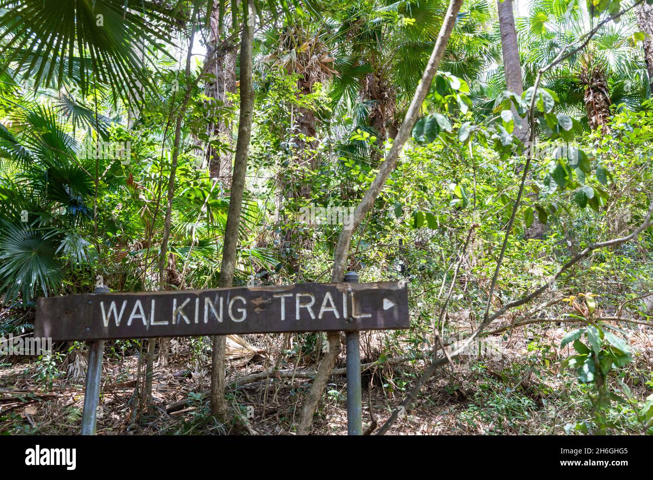 Angophora bush reserve hi-res stock photography and images - Alamy