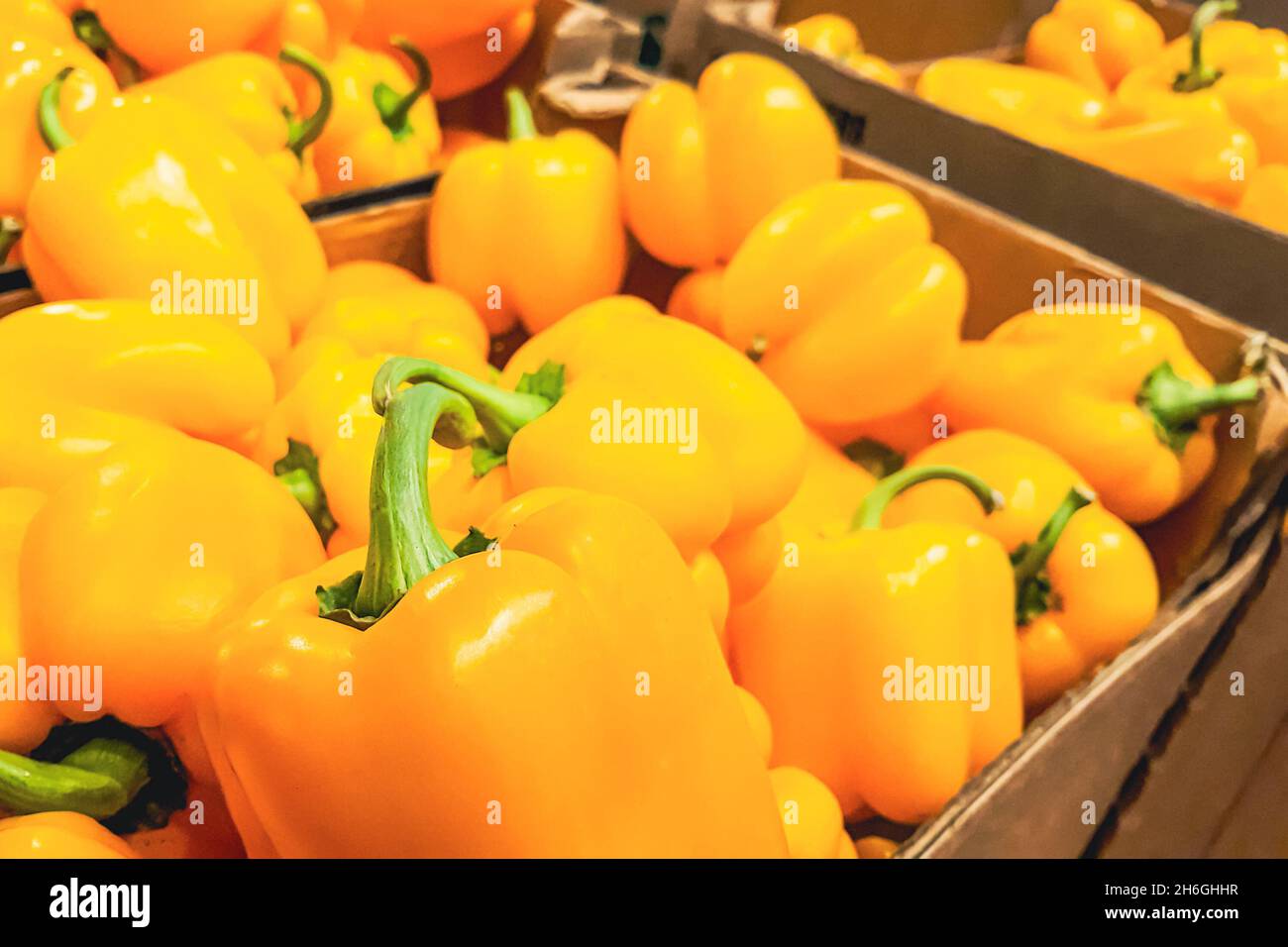 Ripe yellow bell pepper. Selling vegetables at the supermarket or ...